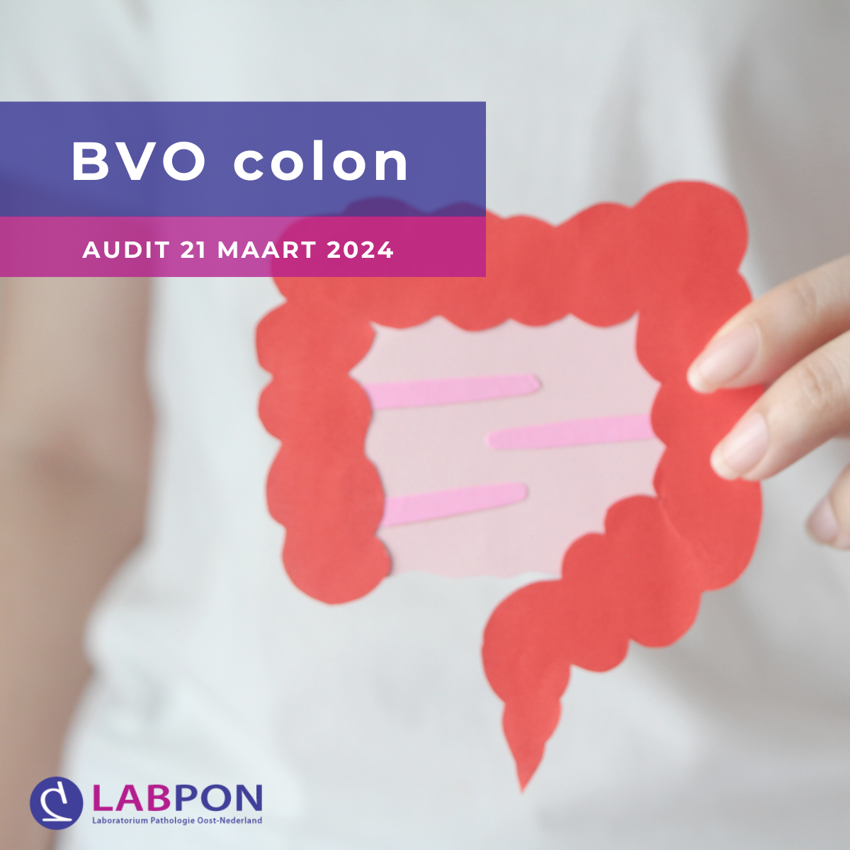 LabPON behaalt voor 4e jaar op rij uitmuntend resultaat BVO-darmkanker audit 2024!